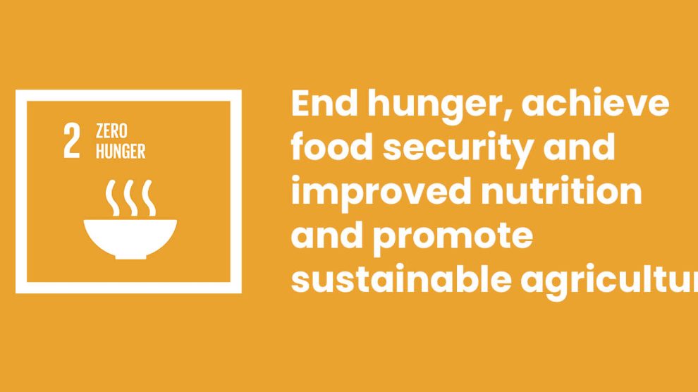 Triple the Impact – Integrating DEI, ESG, and UN SDGs for Maximum ...